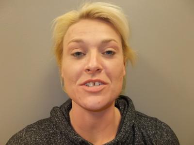 Shantel Collins - Paulding County Jail | Booking Photos | crescent-news.com