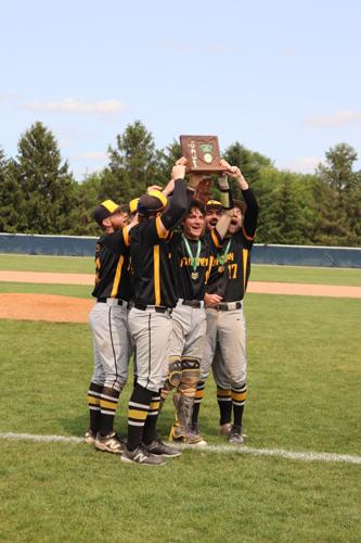 D-VI district baseball: Fairview makes regional return after 17 years ...