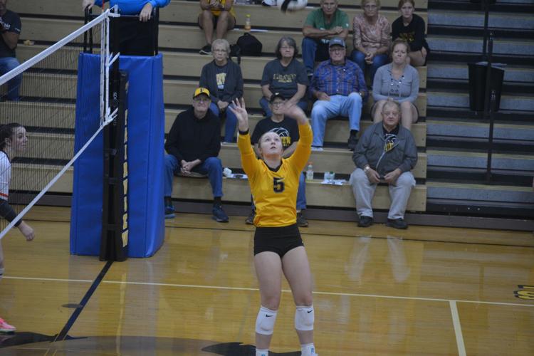 Saturday volleyball: Haley Hammer gets 2,000th assist as Fairview ...
