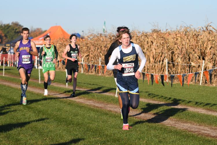 District cross country: Regional berths clinched at Napoleon, CG ...