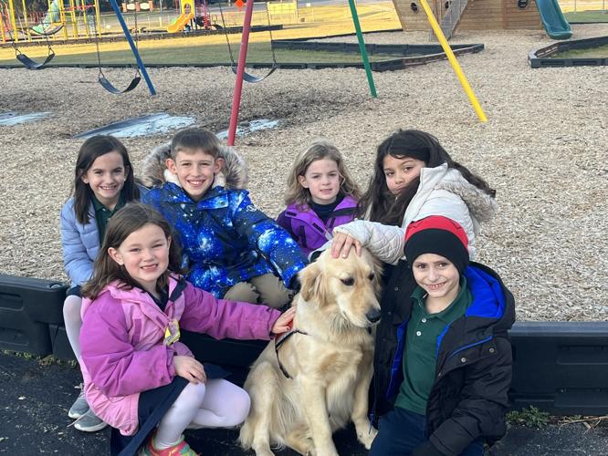 Therapy dog program given a round of 'a-paws' by educators | Local News ...
