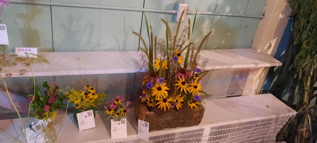 Flower judging at fairs | Local Announcements | crescent-news.com