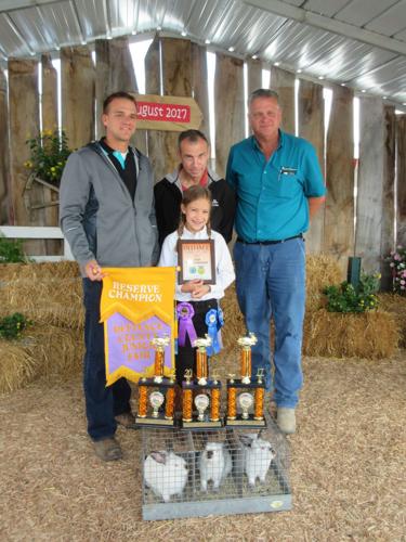Reserve champion meat pen of rabbits sells for $600 in Hicksville ...
