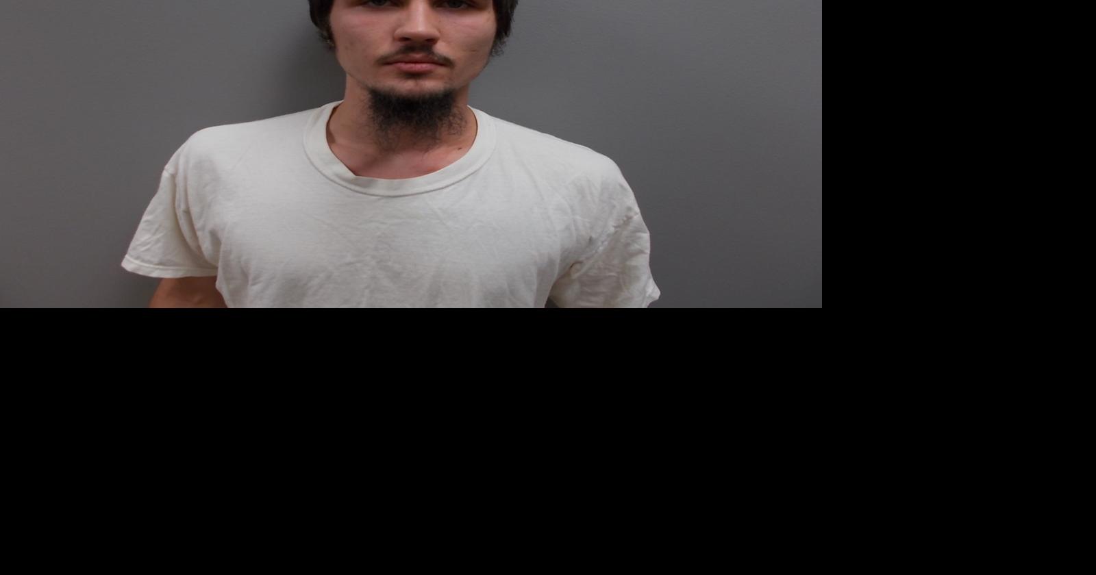 Rylee Collins - Paulding County Jail | Booking Photos | crescent-news.com