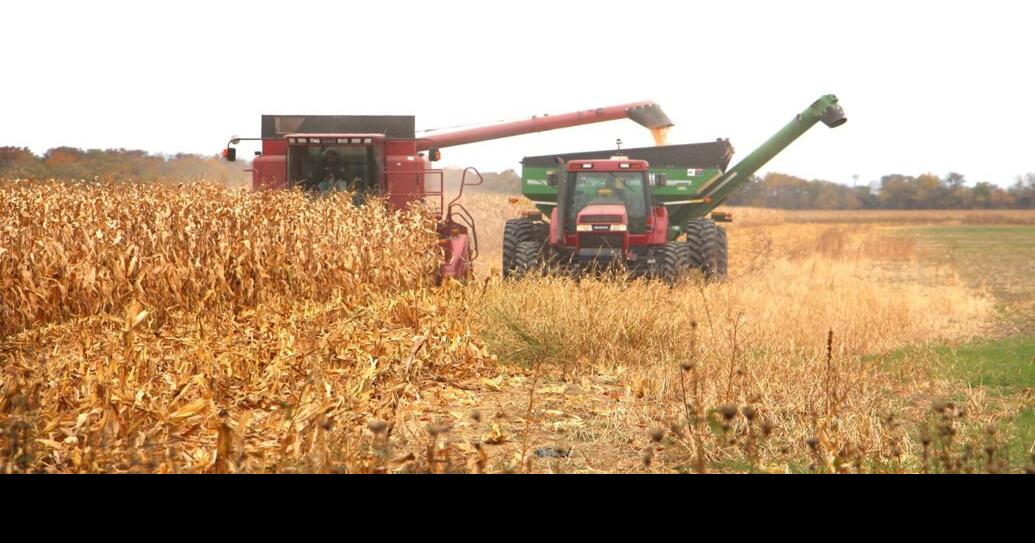 Climate, conflict and currency impact cost competitiveness for U.S ...