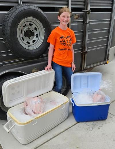 Oakwood teen donates 4-H turkeys to Caring & Sharing Food Pantry ...