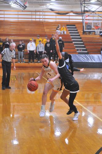 Saturday girls basketball: Fairview pulls away from Defiance | Push ...