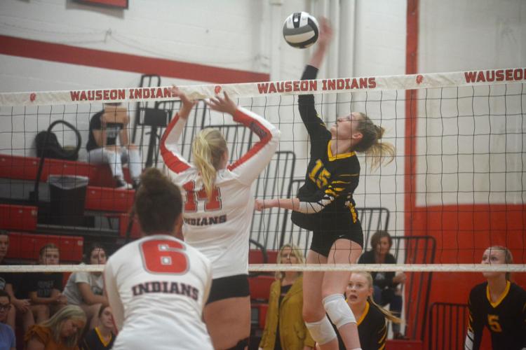 Tuesday volleyball: Fairview, Tinora down NWOAL foes in openers | Local ...