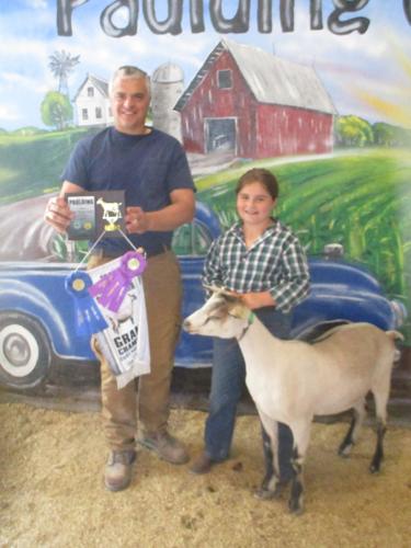 Grand champion dairy market goat | Farm | crescent-news.com