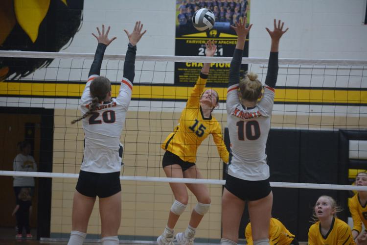 Volleyball spotlight: Fairview's Hammer, Crites combining to leave ...