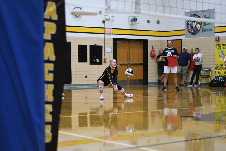 Tuesday volleyball: Fairview stays unbeaten, LC wins share of NWOAL ...