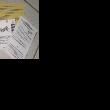 Mail-in voting: A useful election resource | Election Guide | crimson ...