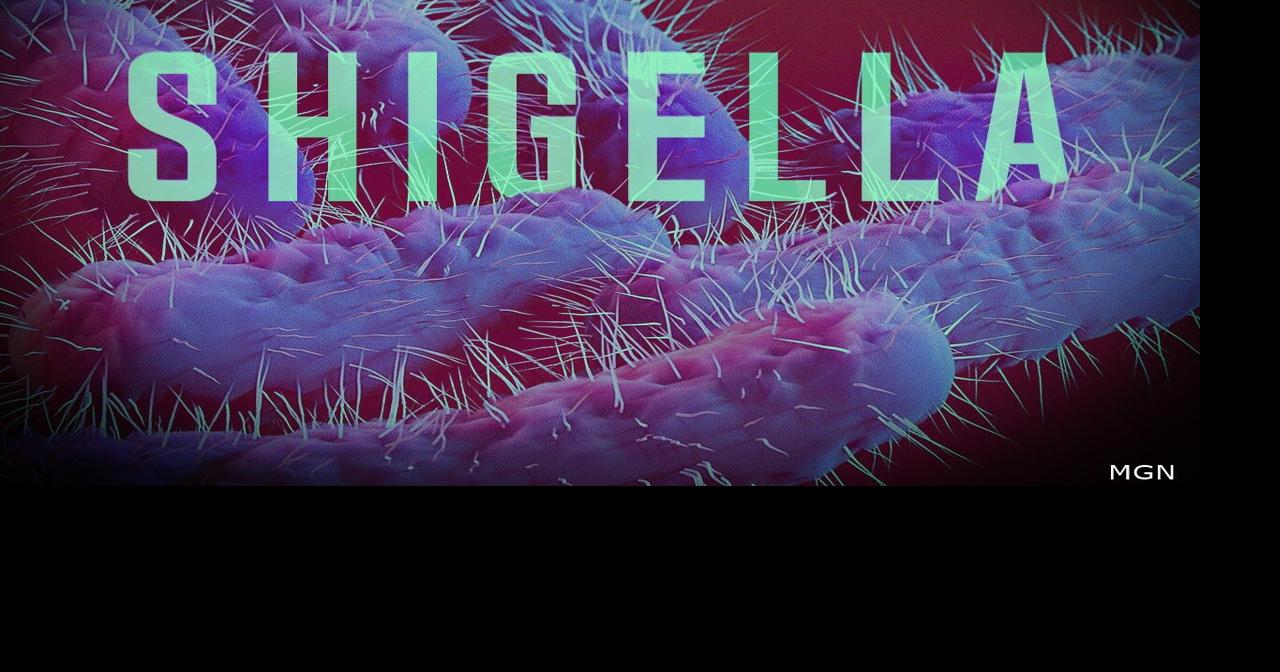 Shigella outbreak in Lavaca County, linked to Hallettsville-based ...