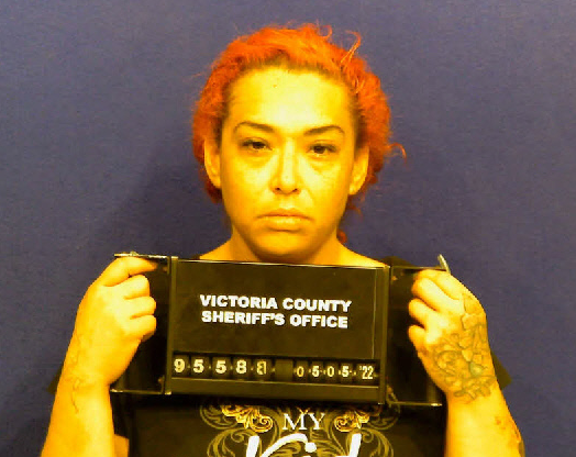 Search warrant details living conditions of toddler twins removed from ...