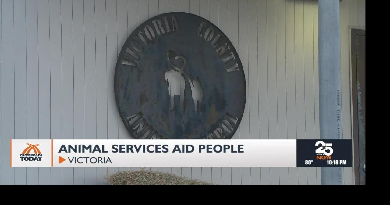Victoria County Animal Services Expands Efforts to Help People in ...