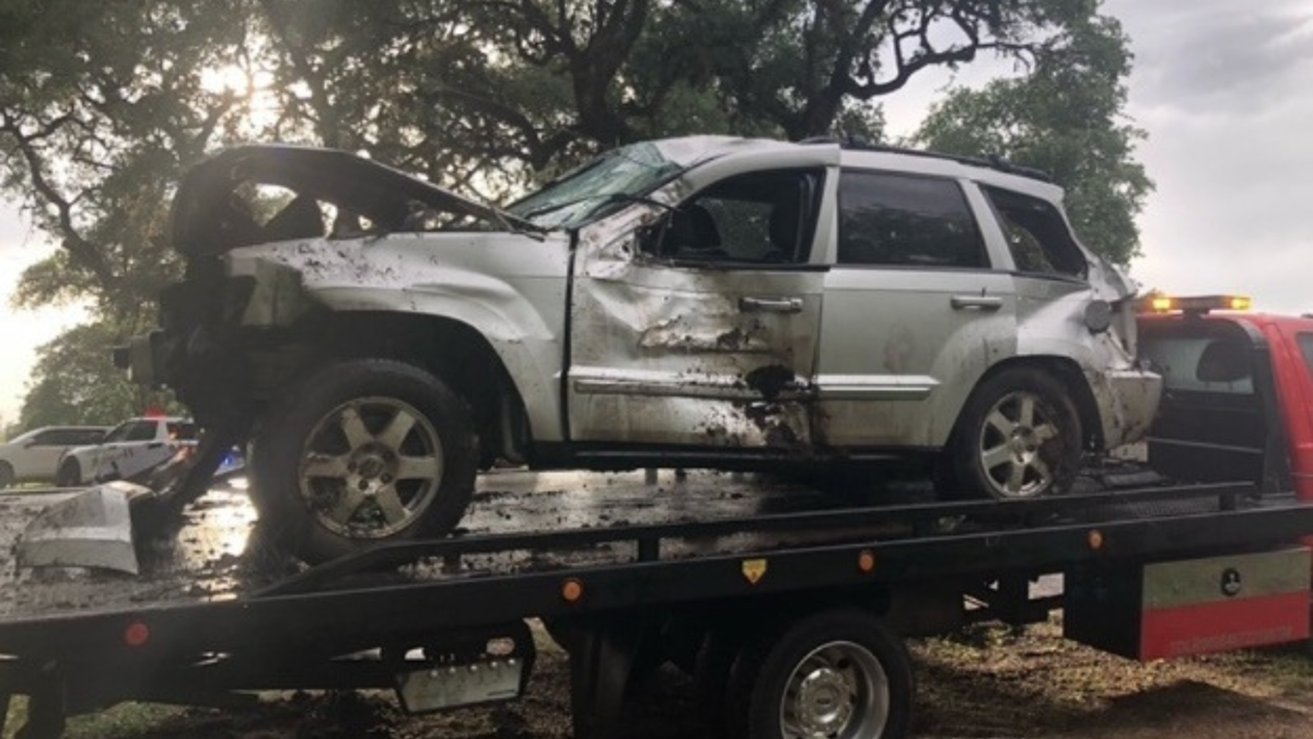 Traffic stop leads to crash with bees stinging officers in Fayette ...