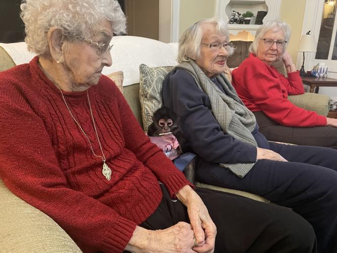 Spider monkey 'Pixie' brings joy to Edna seniors | News ...