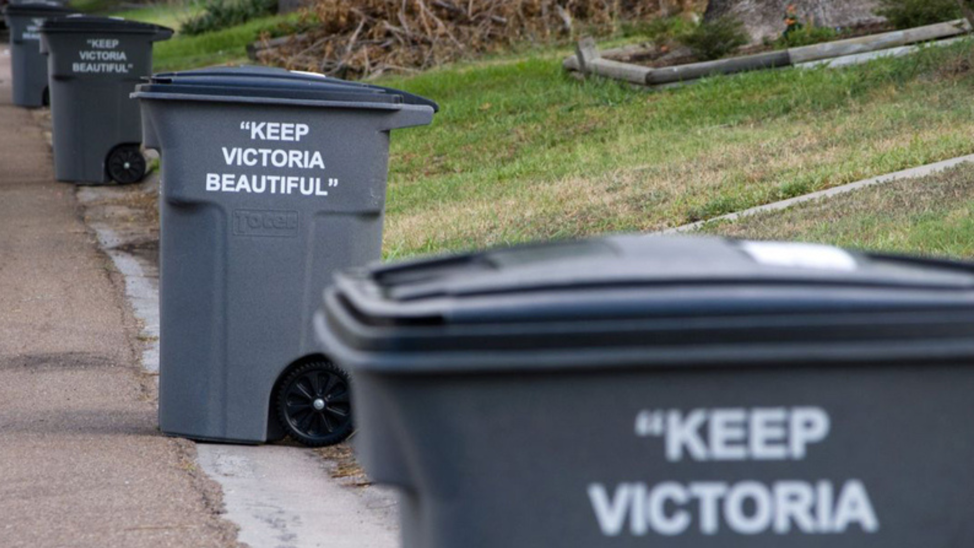 City offers extra trash and Christmas tree collection | Local News ...