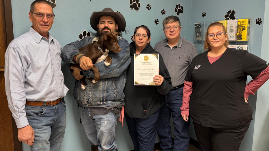 Victoria County Animal Services director to resign | Local News ...