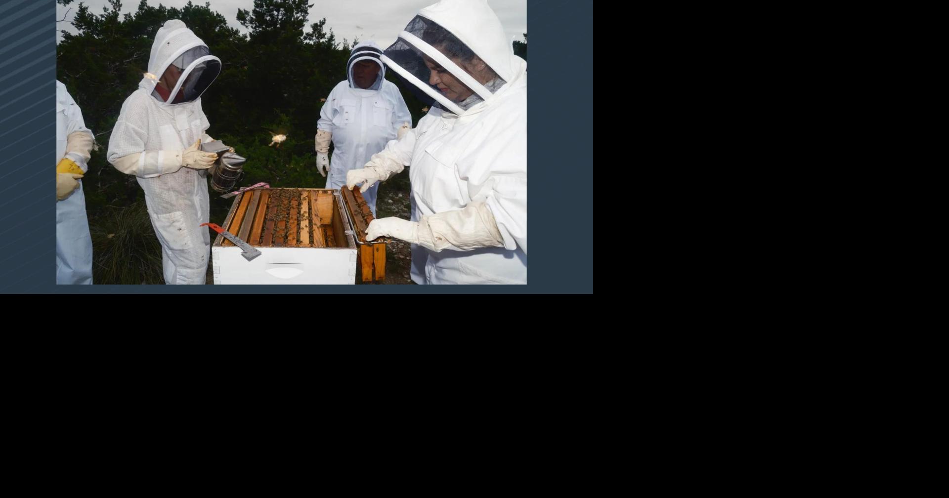 How a chance meeting helped Texas become the nation’s top beekeeping ...