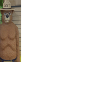 The U.S. Forest Service's mascot celebrates it's 80th year: Sabino ...