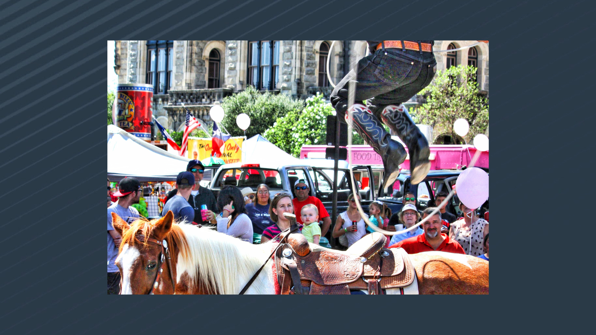 Tejas Fest to feature armadillo racing and lucha libre wrestling | News ...