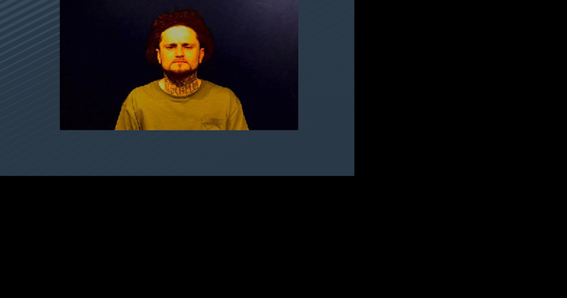 Victoria man faces unlawful possession of a firearm by a felon charges ...