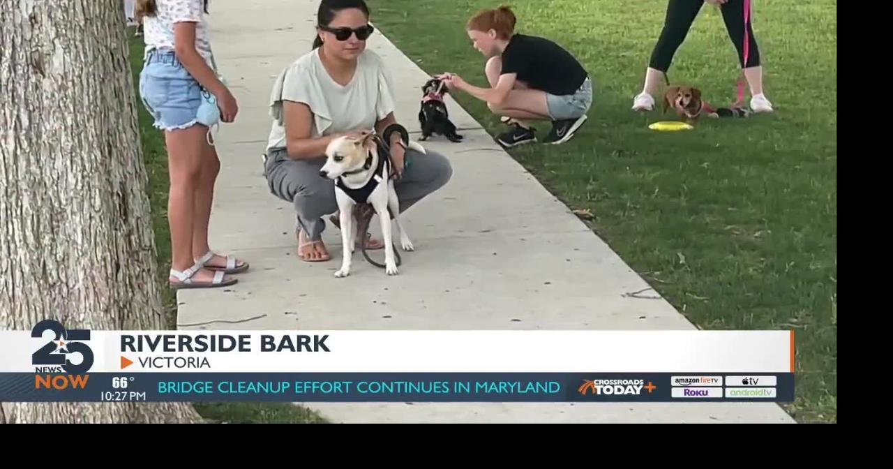Izzy Drane honored for raising awareness about the need for a dog park ...
