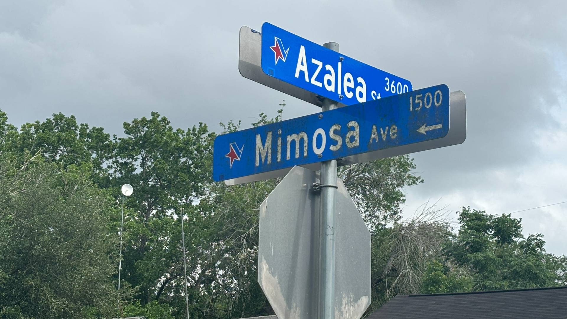 Man's body discovered at Mimosa Ave house, cause of death undisclosed ...