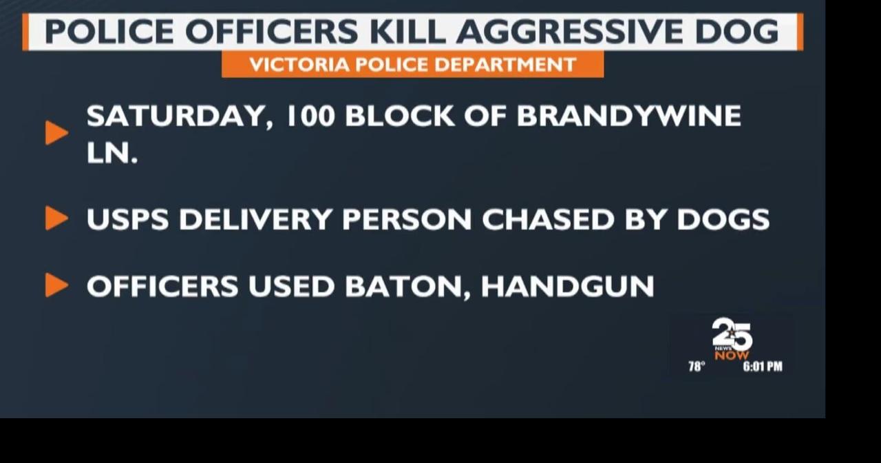 VPD officers forced to shoot and kill roaming aggressive dog | News ...