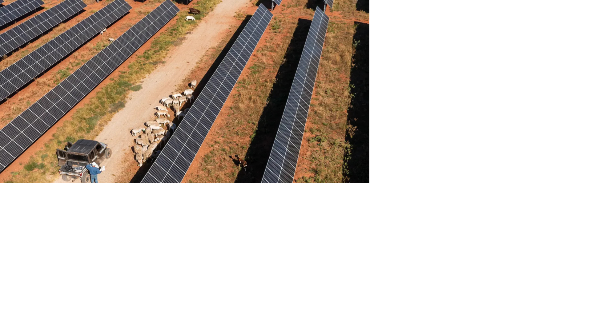 Renewable energy companies face little regulation in Texas. A state ...