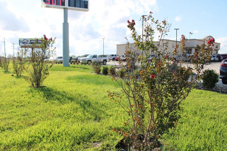 The Texan earns City’s Business Beautification Award | Local News ...