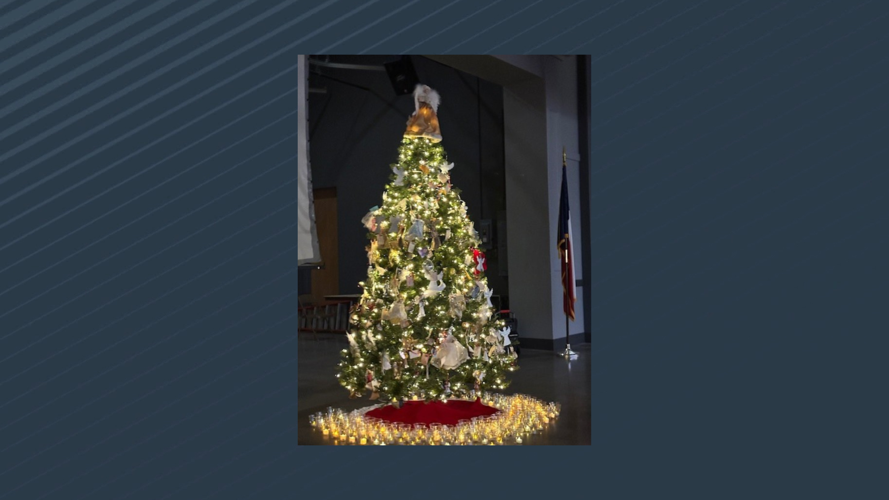 Annual Tree of Angels ceremony memorializes violent crime victims ...