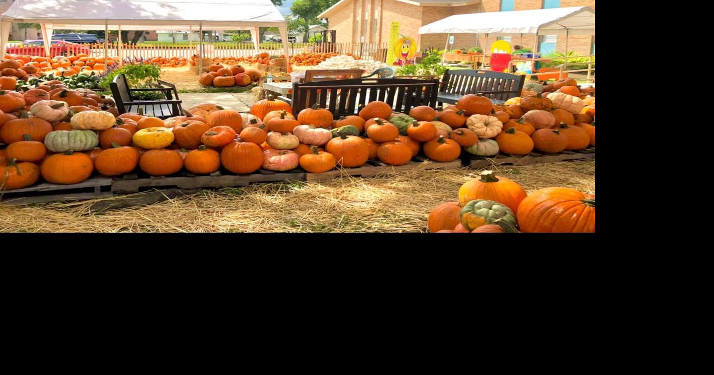 First United Methodist Church in Victoria to host pumpkin patch for the 31st year ...