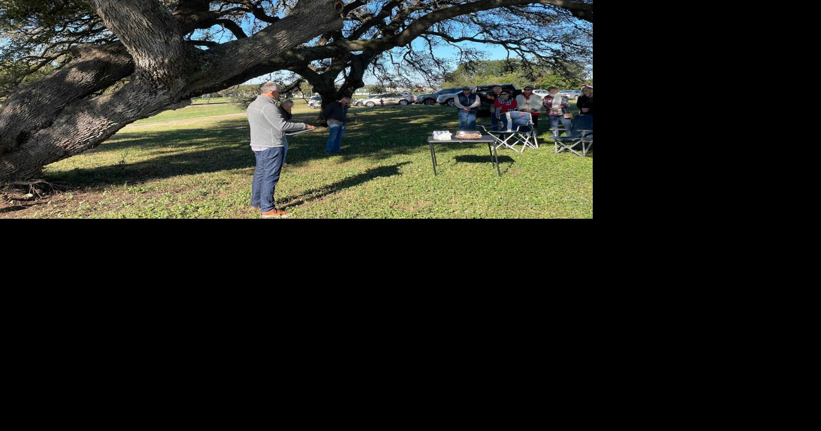 Cuero Tree Board unveils sixth named tree | Lifestyle | crossroadstoday.com