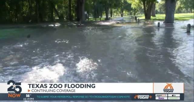 Flooding at the Texas Zoo and Riverside Park | Local News ...