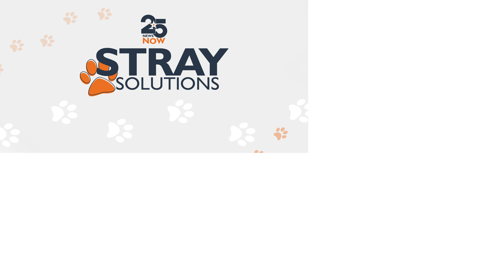 No easy solutions for Crossroads' stray situation | News ...