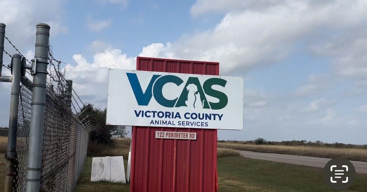 Victoria County Animal Services awarded grants to address stray animal ...