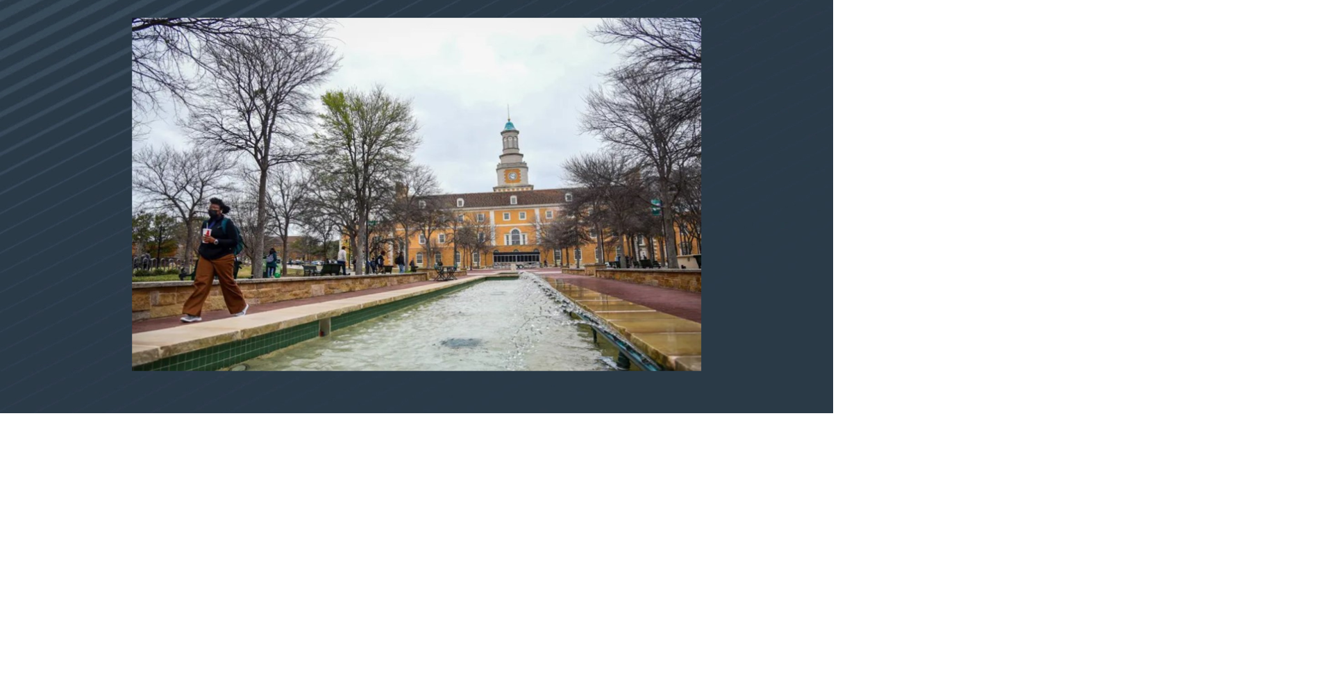 UNT faculty slam university for removing references to race and equity ...