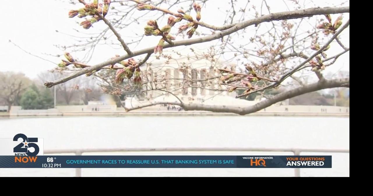 Don, Mac and Geno talk about spring flowers | Video | crossroadstoday.com