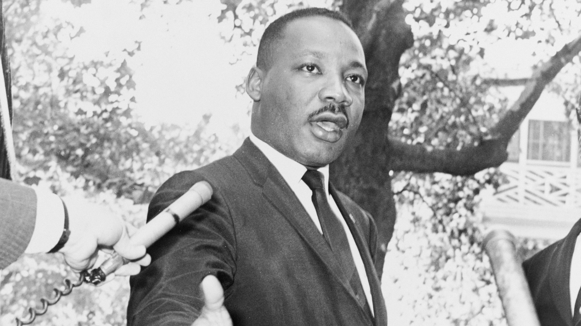 Victoria organization hosts MLK Day walk | News | crossroadstoday.com