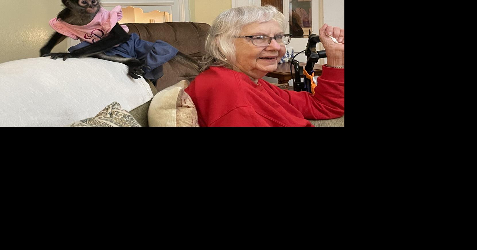 Spider monkey 'Pixie' brings joy to Edna seniors | News ...