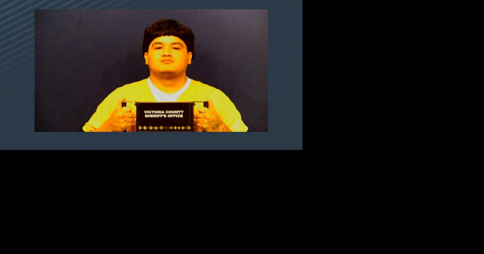 Victoria man pleads guilty to multiple offenses | News ...