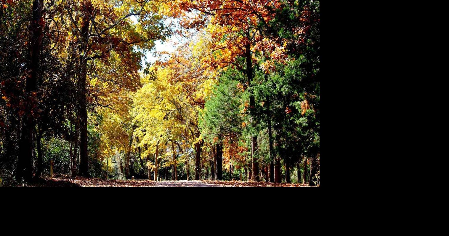 Fairfield Lake State Park set to permanently close | News ...