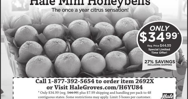 Hale Honeybell | Display | currypilot.com