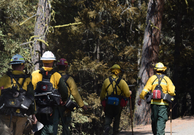 Tillamook Forest Fire