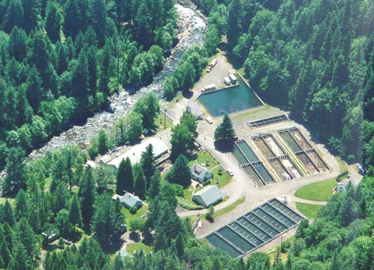 Proposed ODFW budget closes hatcheries. increases fishing, hunting fees ...