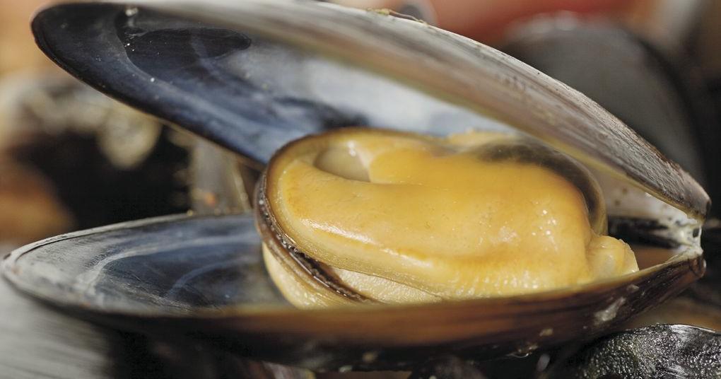 All mussel harvesting is closed from the Columbia River to the ...