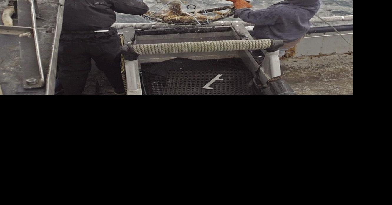 Cape Foulweather to Cape Falcon opens Dec. 31 to commercial Dungeness ...