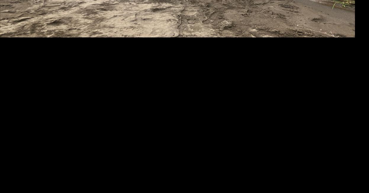 Rupert's vehicle located submerged | News | currypilot.com